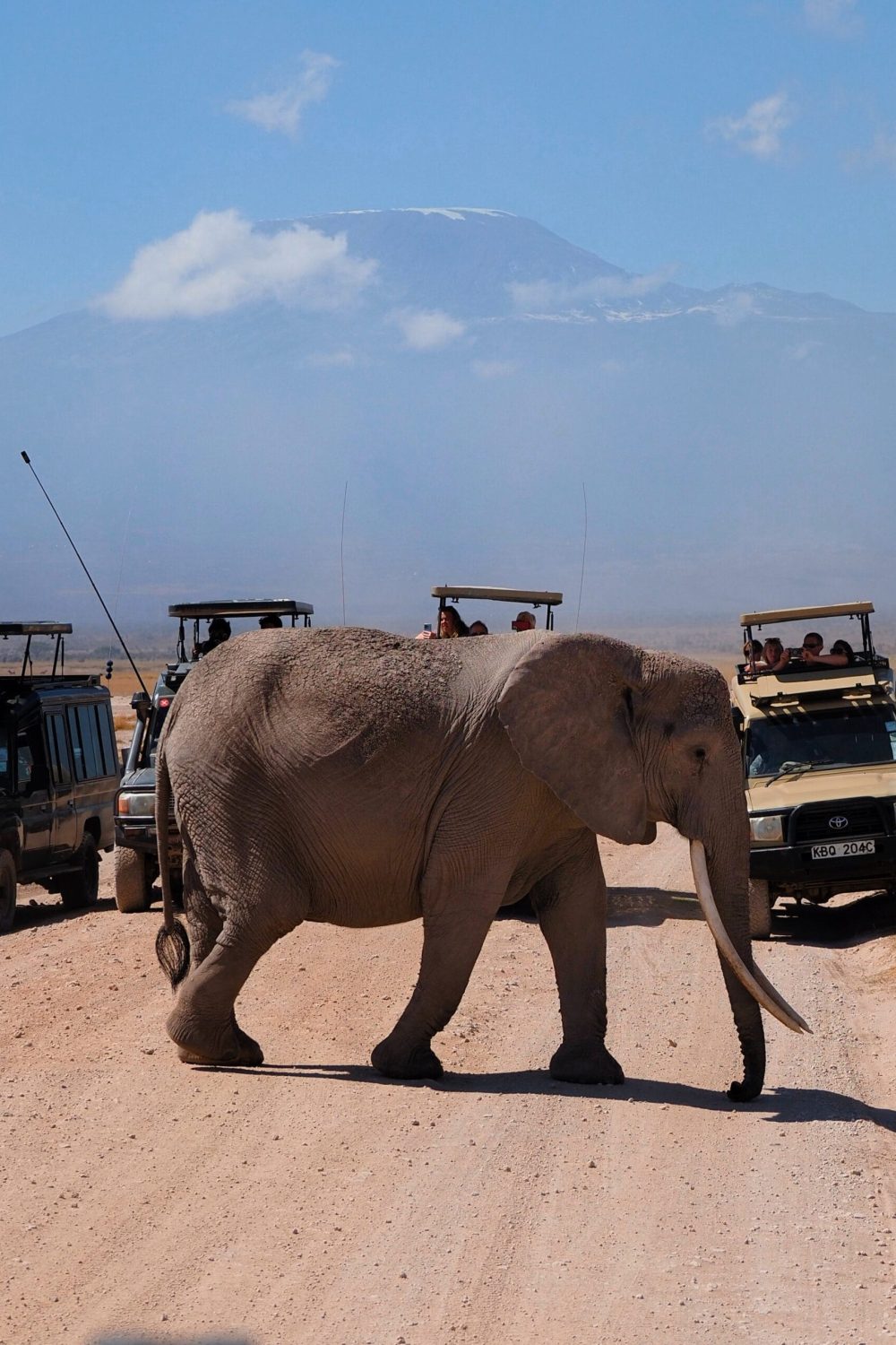 Comparing the 7 Best National Parks in Kenya